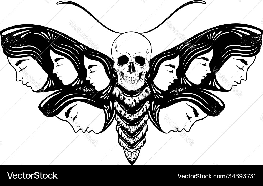 Hand drawn moth with female faces on wings Vector Image