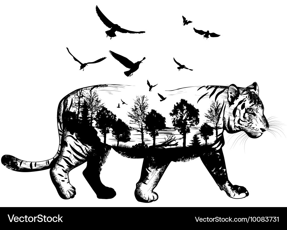 Hand drawn tiger for your design wildlife concept Vector Image