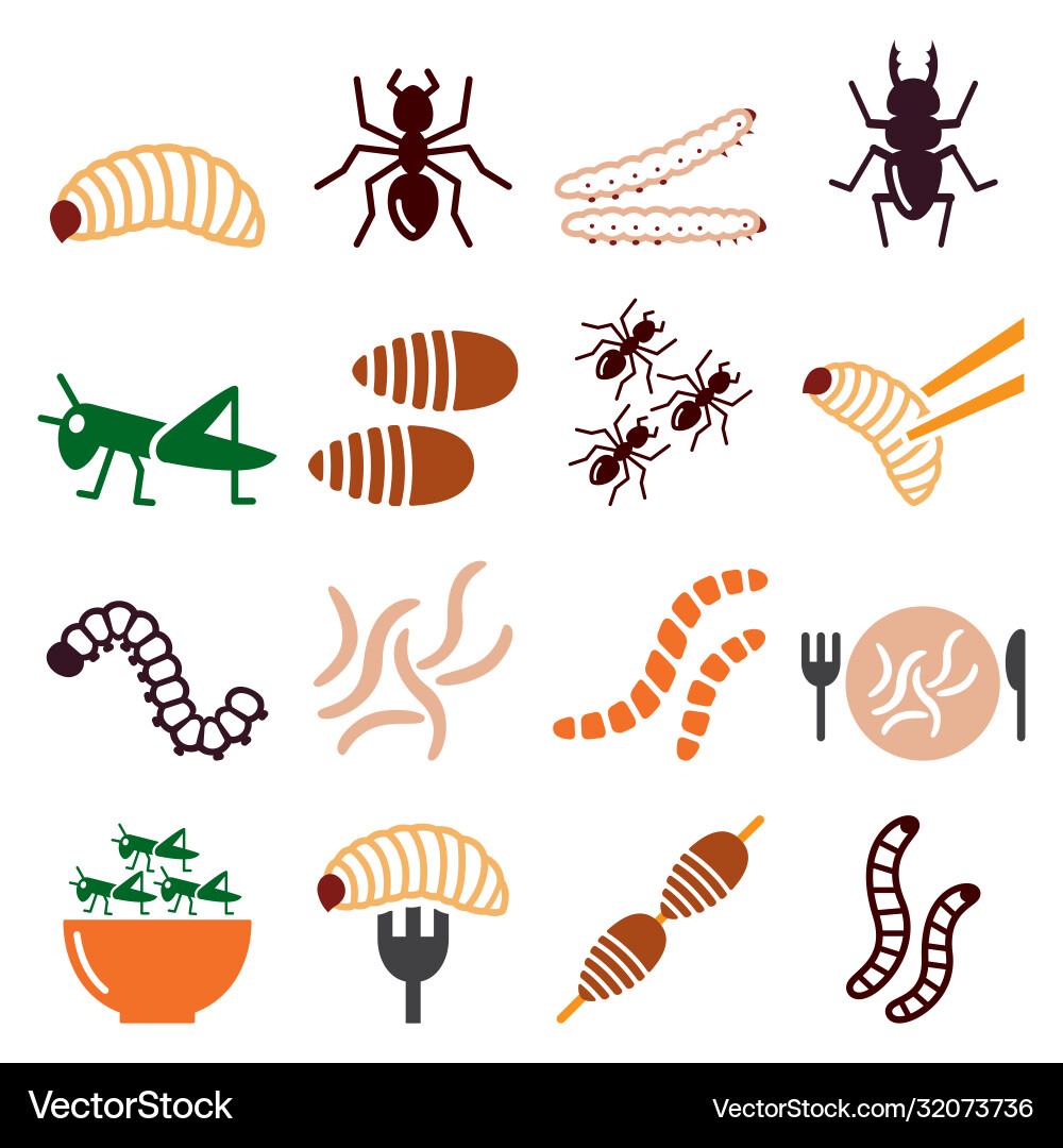 Edible worms and insects icons set Royalty Free Vector Image