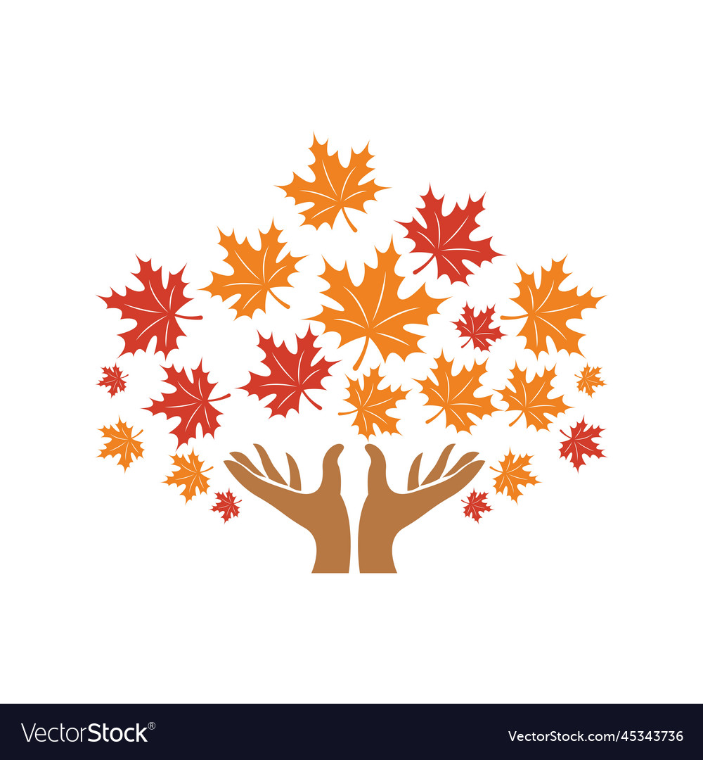 Maple logo icon design Royalty Free Vector Image