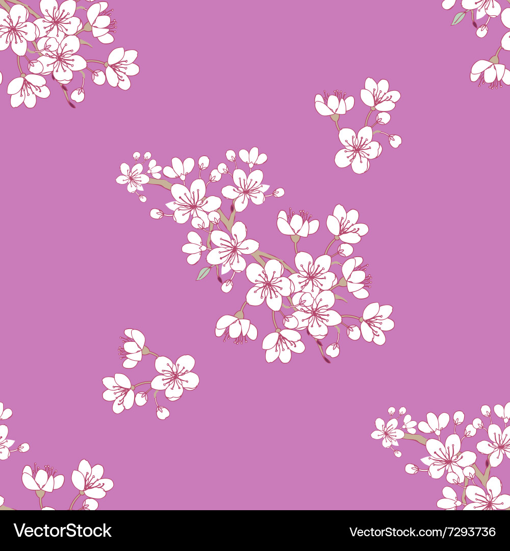 Seamless pattern sakura Royalty Free Vector Image