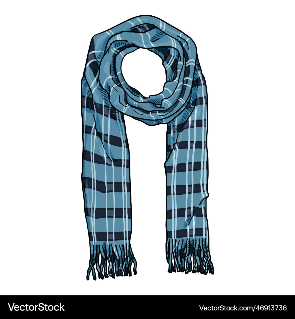 Single cartoon checkered blue woolen scarf Vector Image