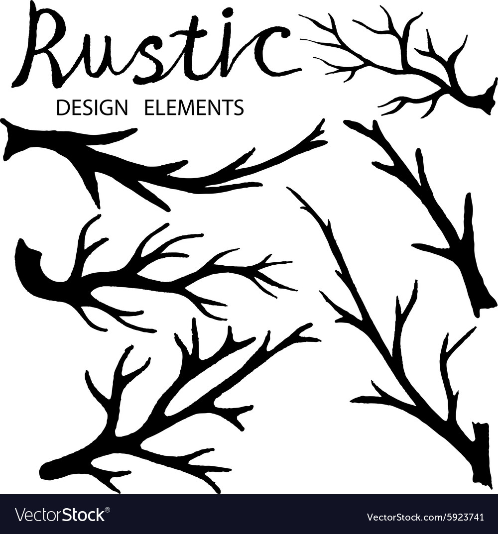 Hand Drawn Branches Royalty Free Vector Image Vectorstock