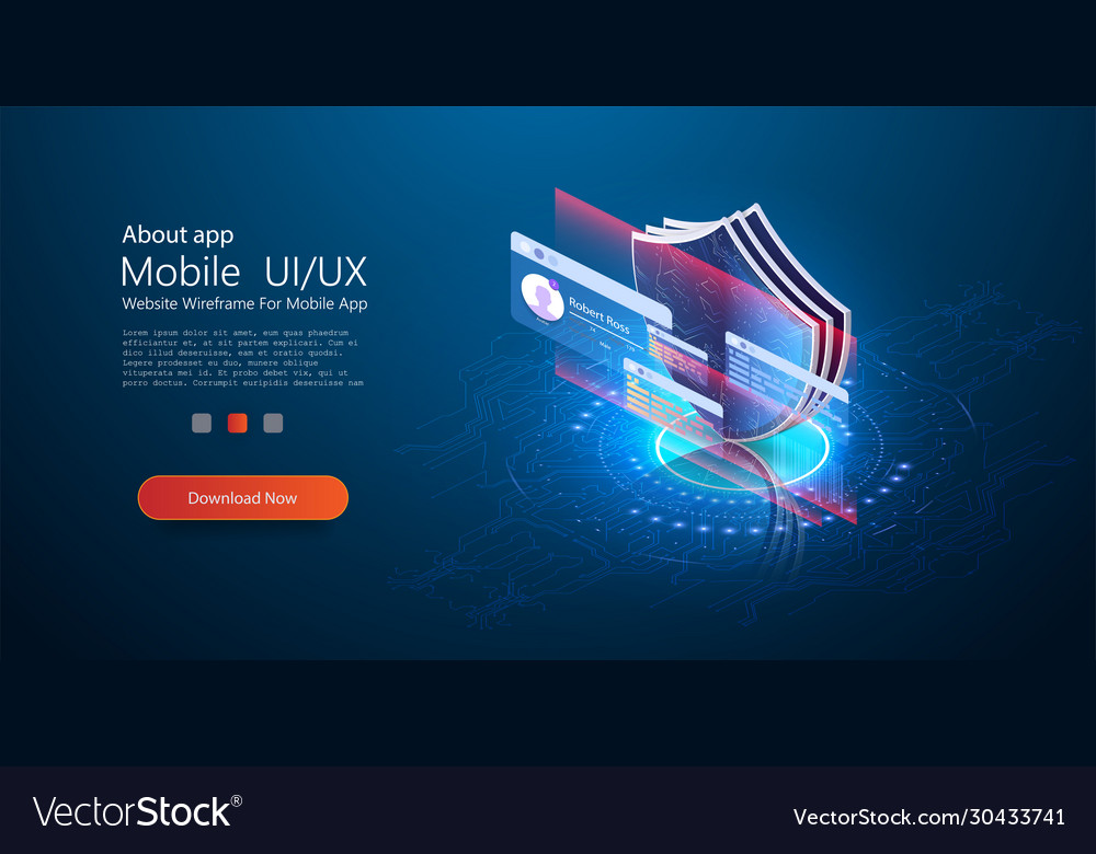 Information technology digital lock data Vector Image