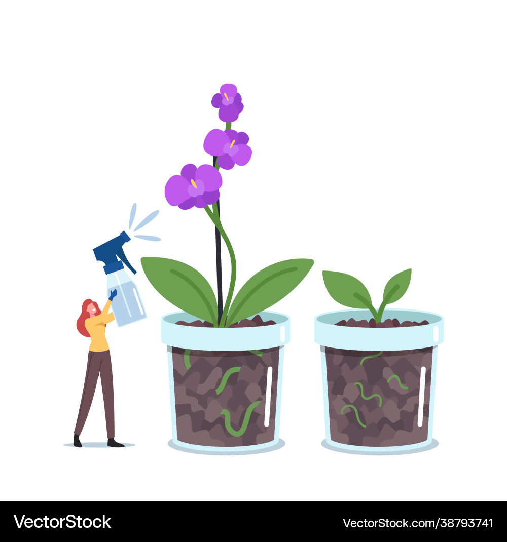 Tiny woman botanist watering or spraying huge Vector Image