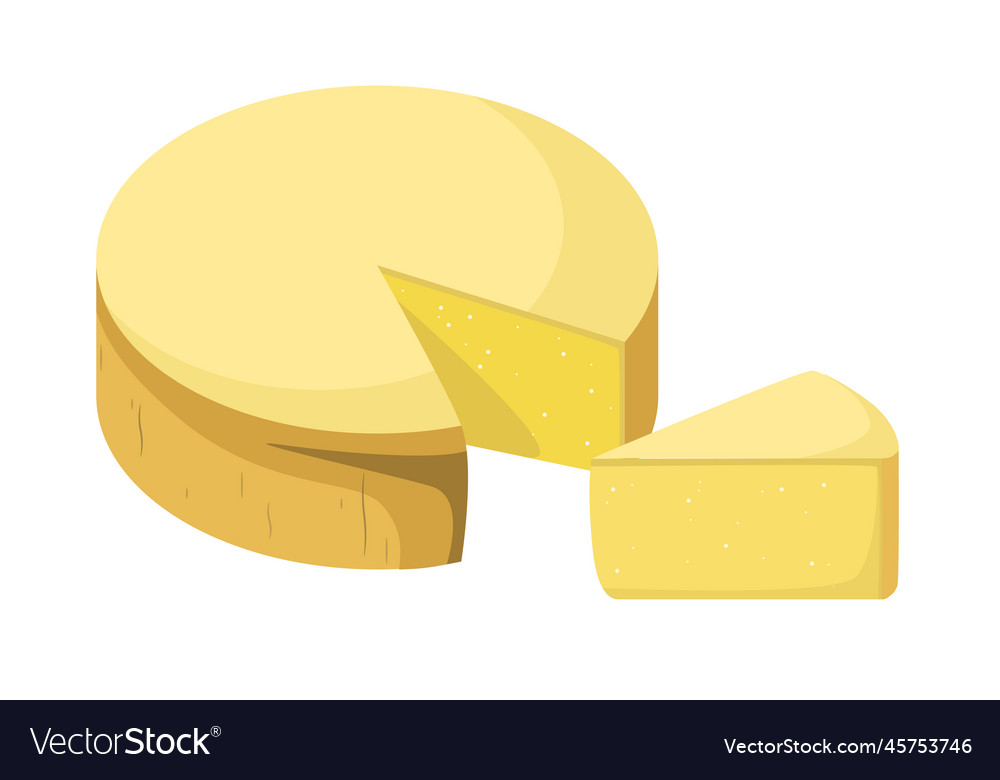 Cheese Royalty Free Vector Image - VectorStock