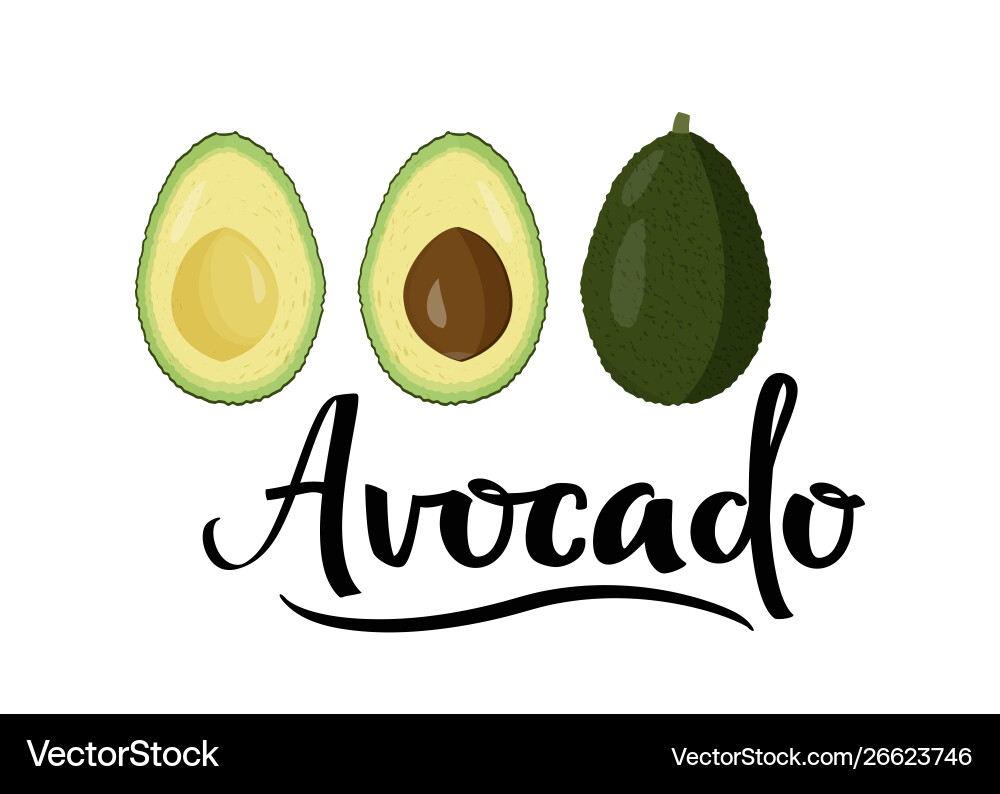 Fresh avocado with handwritten Royalty Free Vector Image