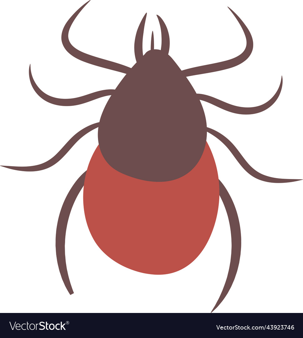 Tick Royalty Free Vector Image - VectorStock