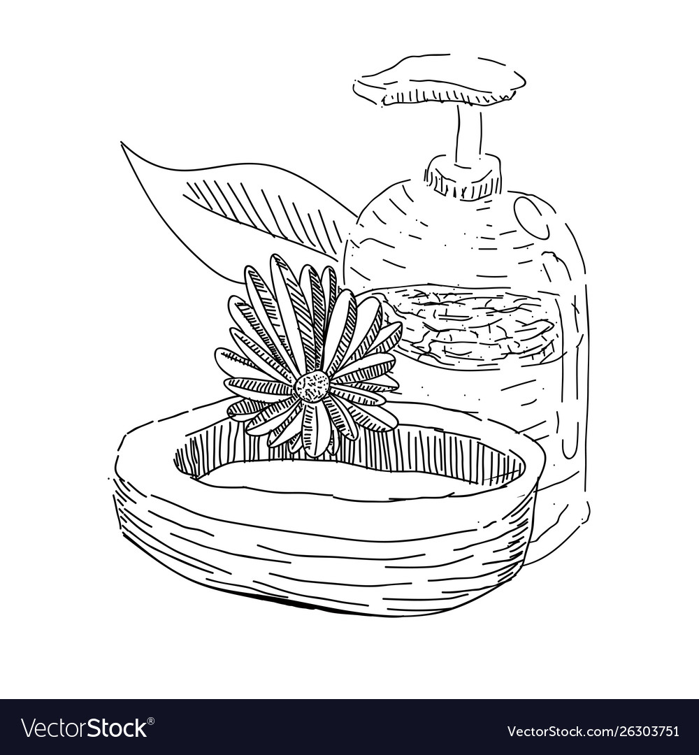Sketch spa objects Royalty Free Vector Image - VectorStock