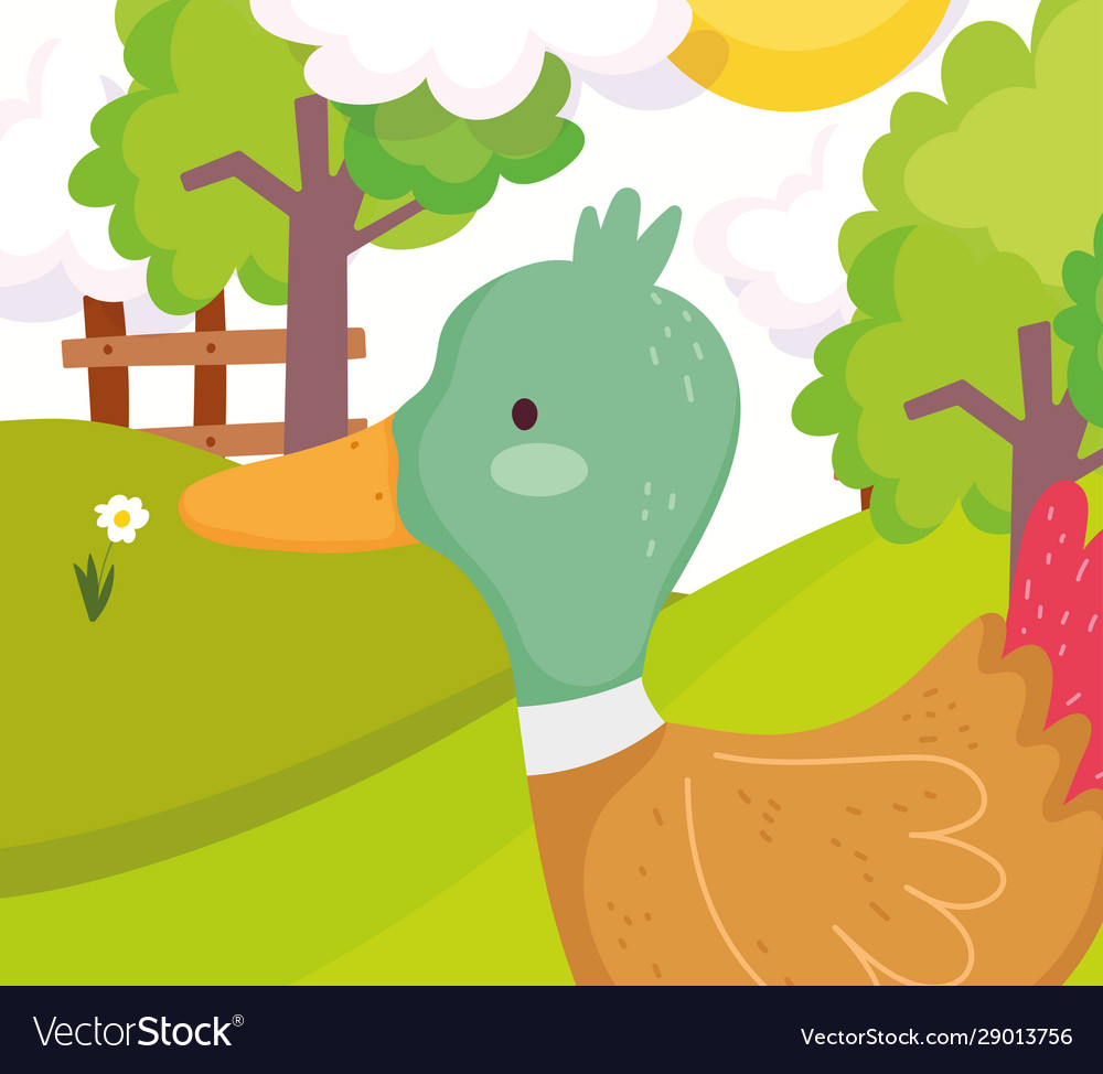 Duck flower field trees fence farm animal cartoon Vector Image