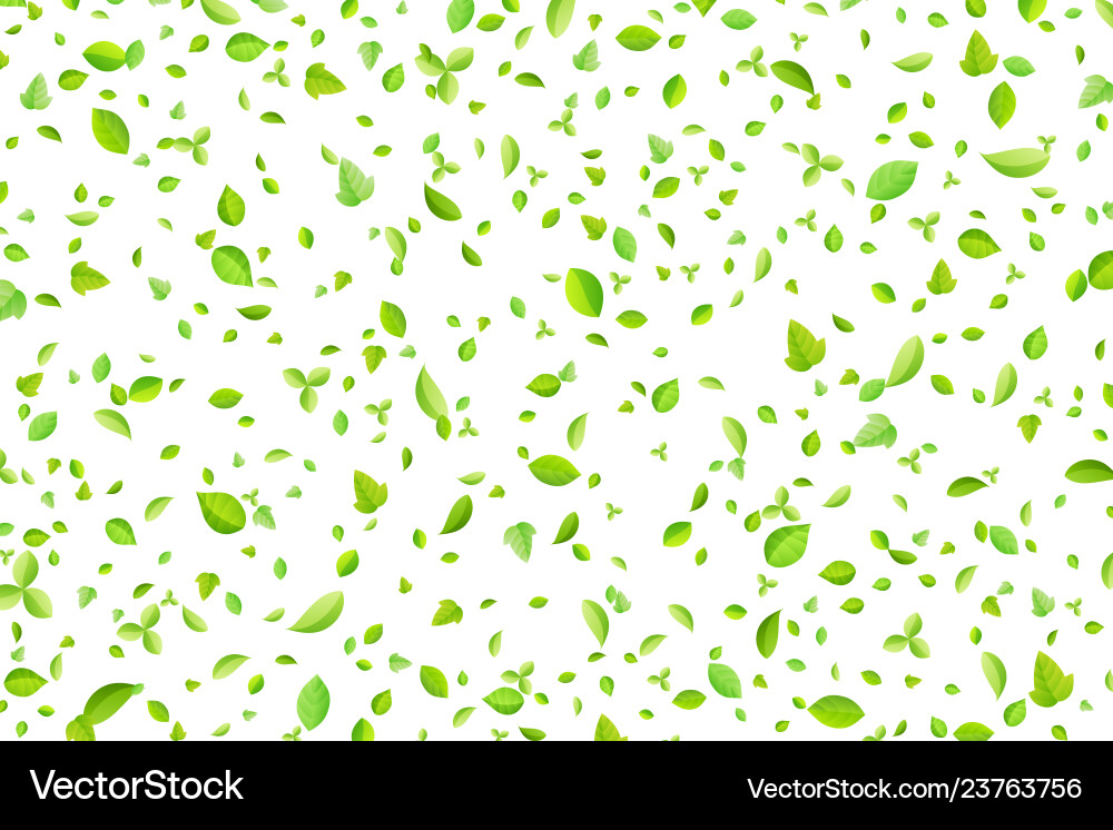 Fresh spring green leaves background for greeting Vector Image
