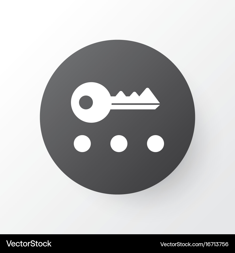 Privacy icon symbol premium quality isolated key Vector Image