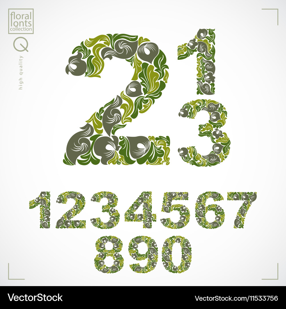 Set of ornate numbers flower-patterned numeration Vector Image