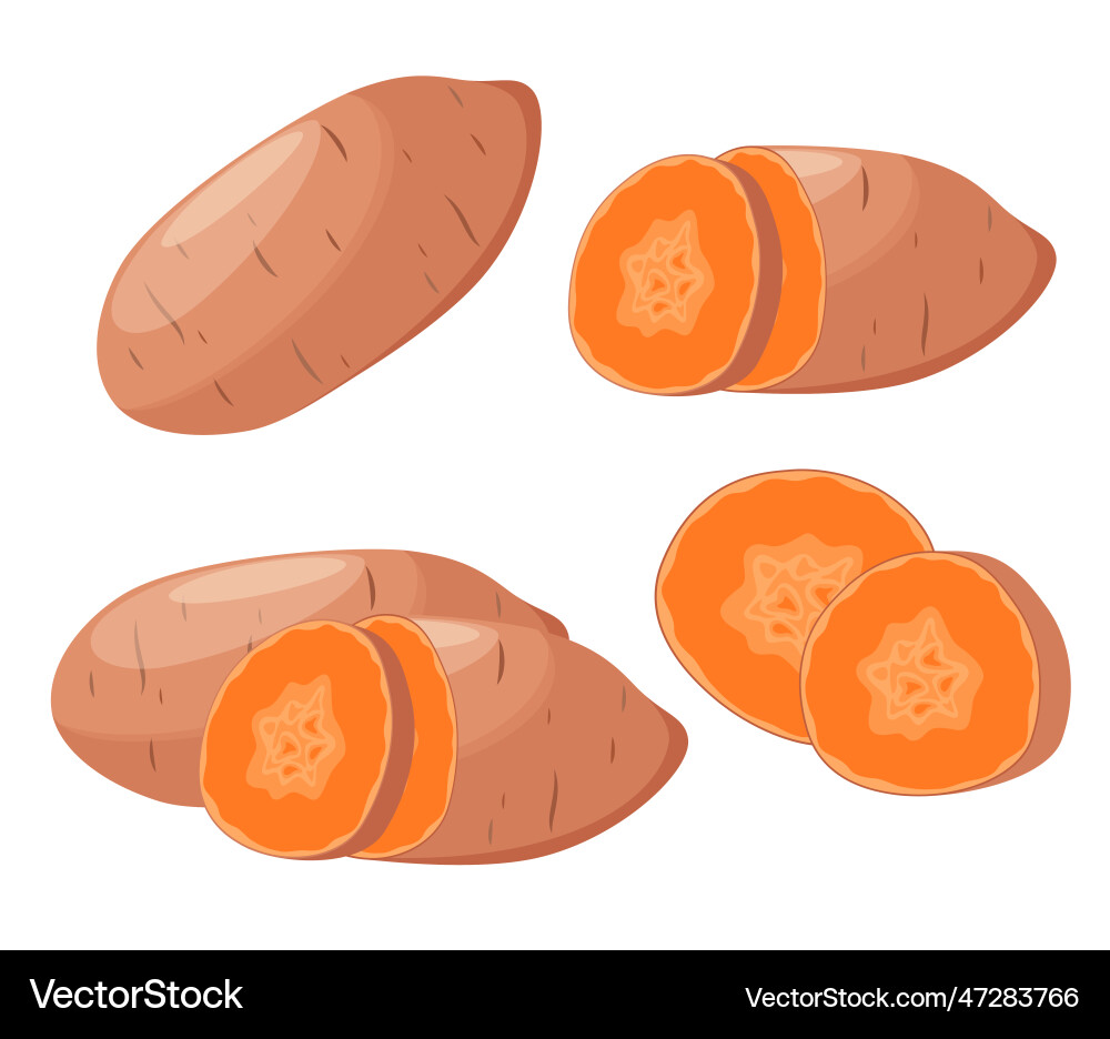 A set of yam Royalty Free Vector Image - VectorStock