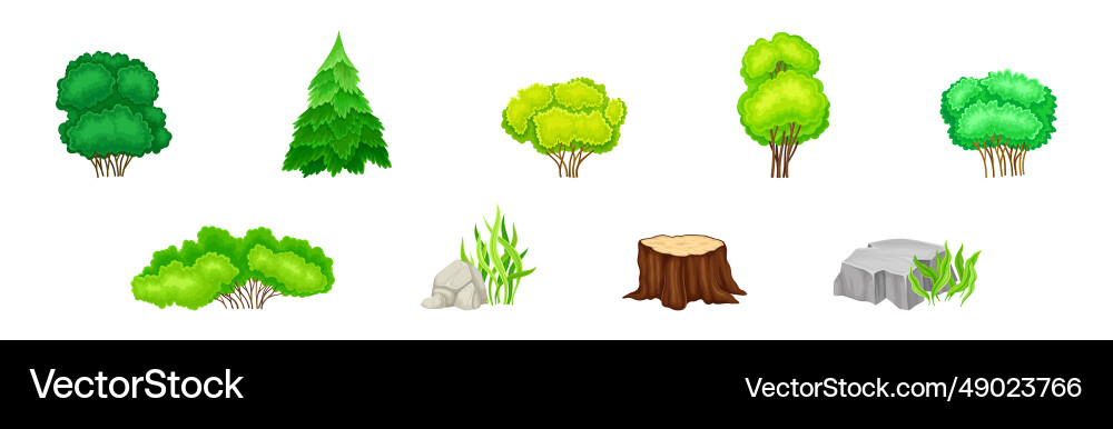 Tree with green crown stump with bush as forest Vector Image