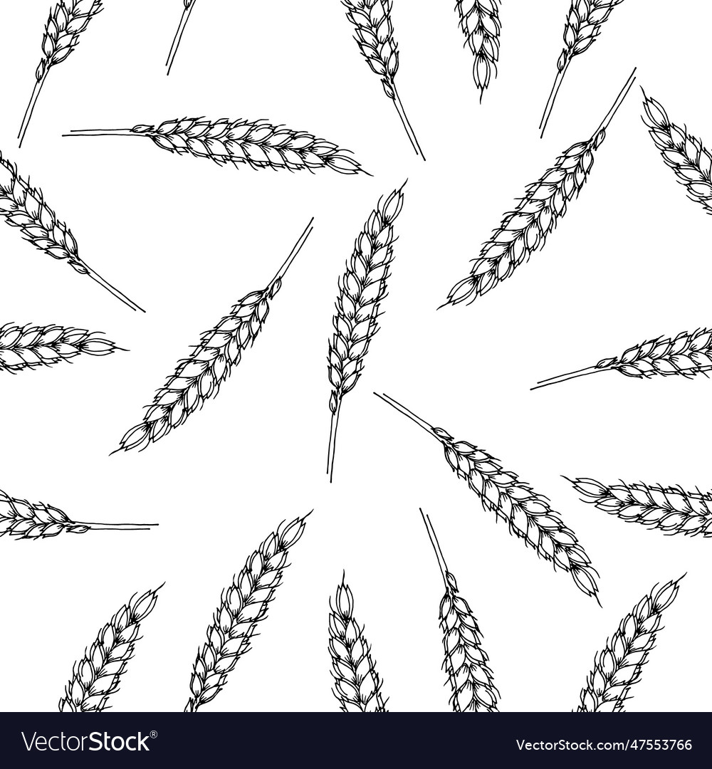 Wheat ear pattern Royalty Free Vector Image - VectorStock