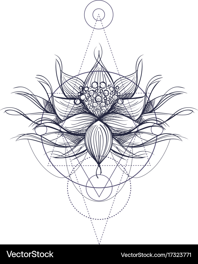 Elegant element of a stylized flower with smooth Vector Image