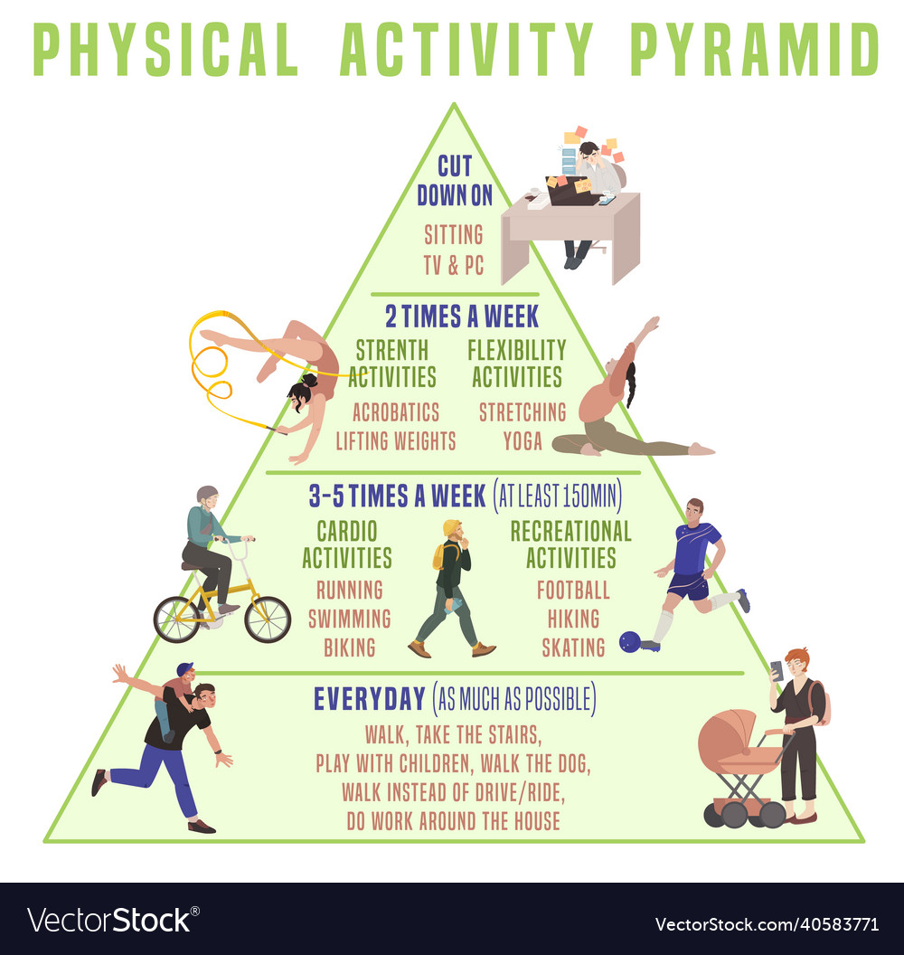 Everyday Physical Activity Pyramid Royalty Free Vector Image