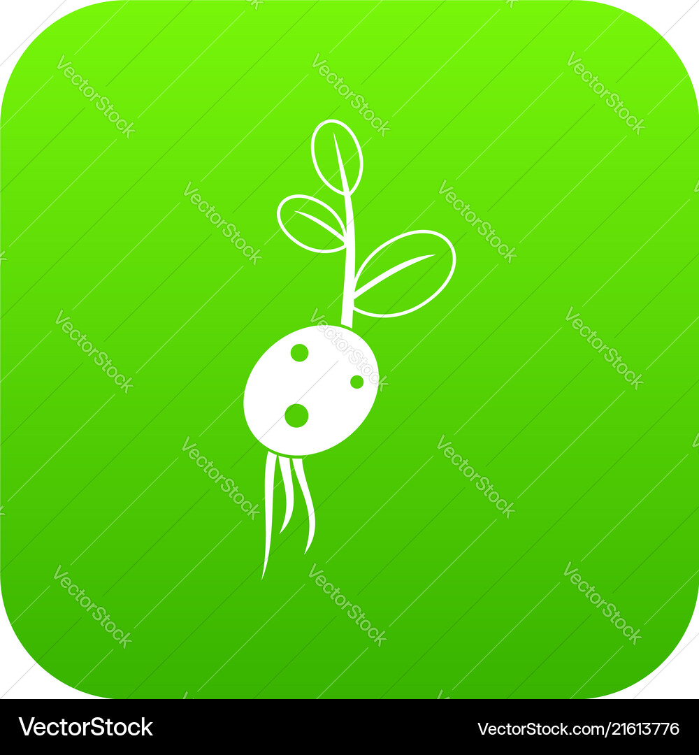 Potato sprout from the root icon digital green Vector Image