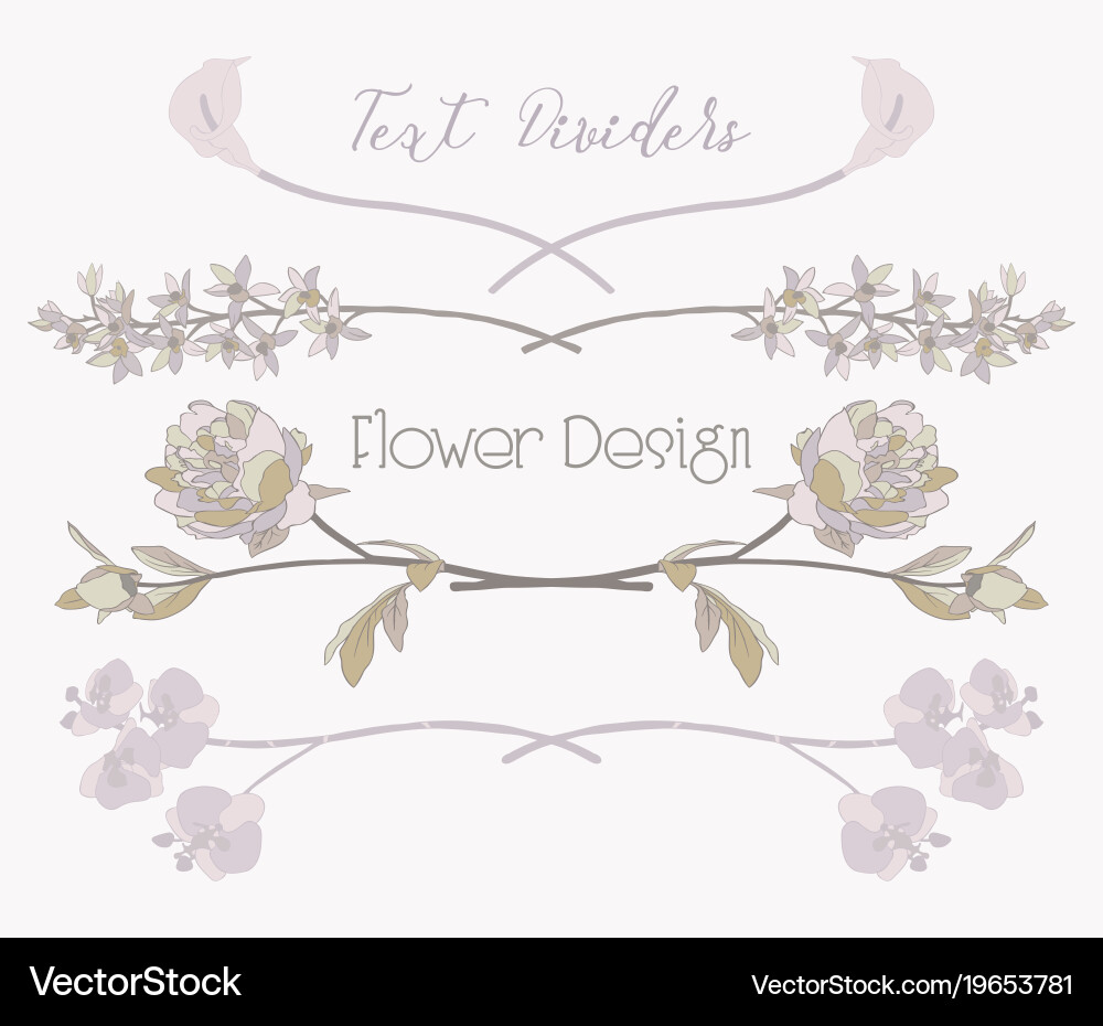 Floral text dividers flower design Royalty Free Vector Image