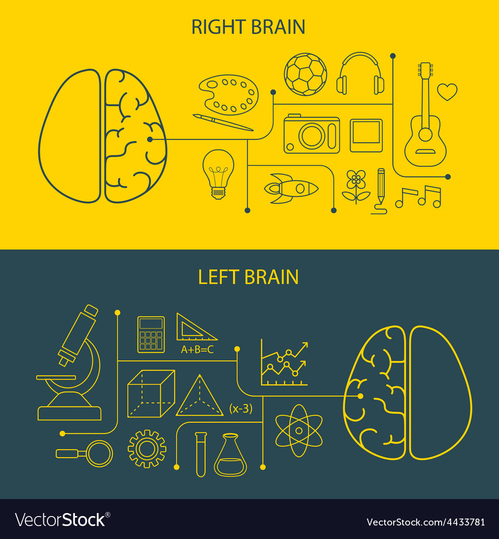 Left and right brain functions concept Royalty Free Vector
