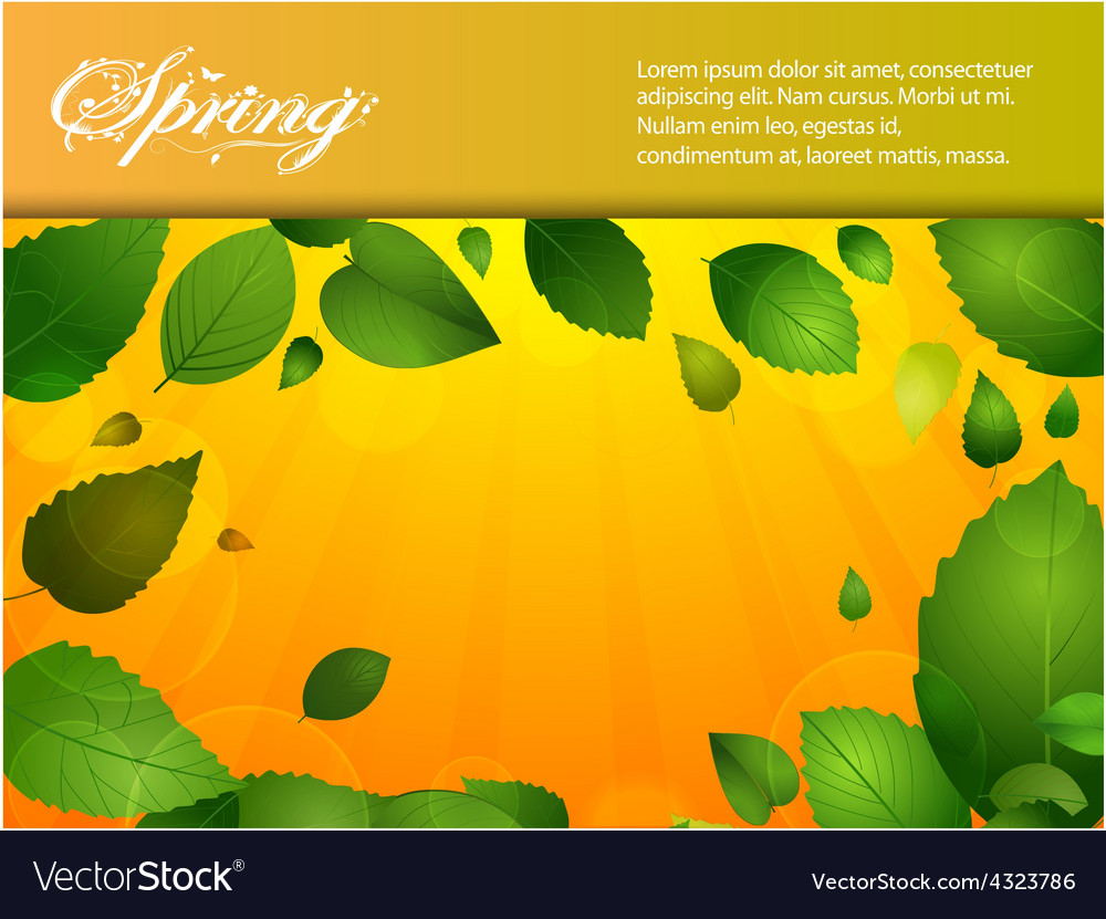 Spring background with leafs and sunshine Vector Image