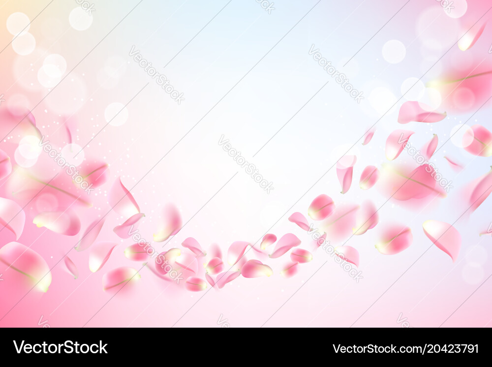 Background with realistic flying rose petals pink Vector Image