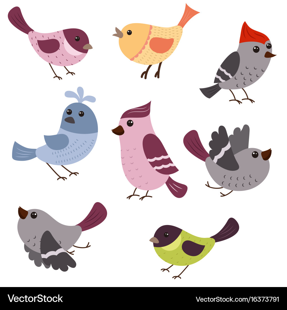 Set of cute birds Royalty Free Vector Image - VectorStock