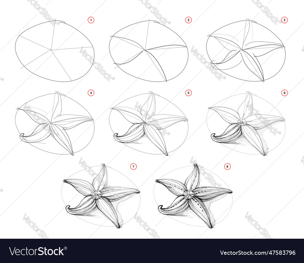Page shows how to learn to draw from life sketch Vector Image