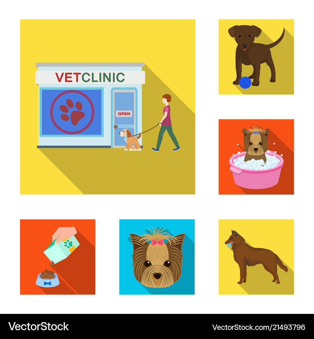 Pet flat icons in set collection for design care Vector Image
