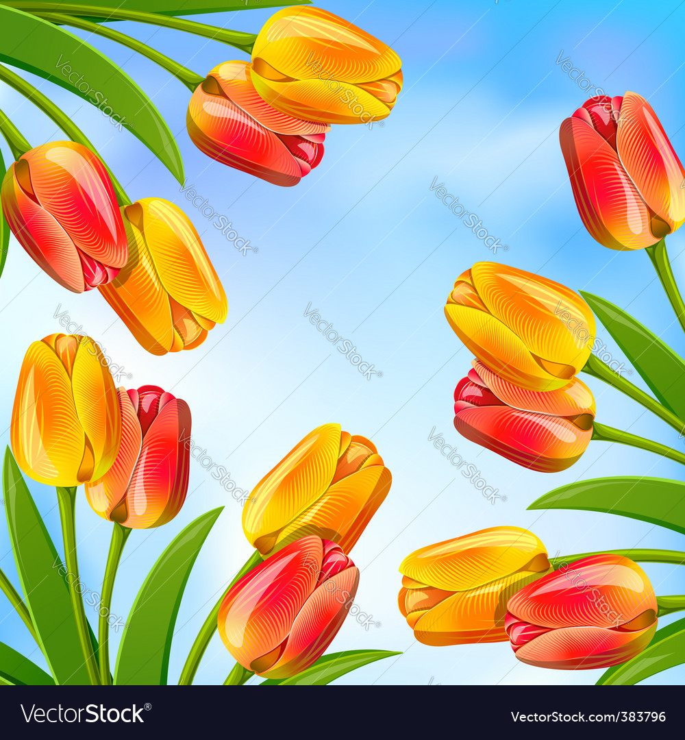 Spring background Royalty Free Vector Image - VectorStock