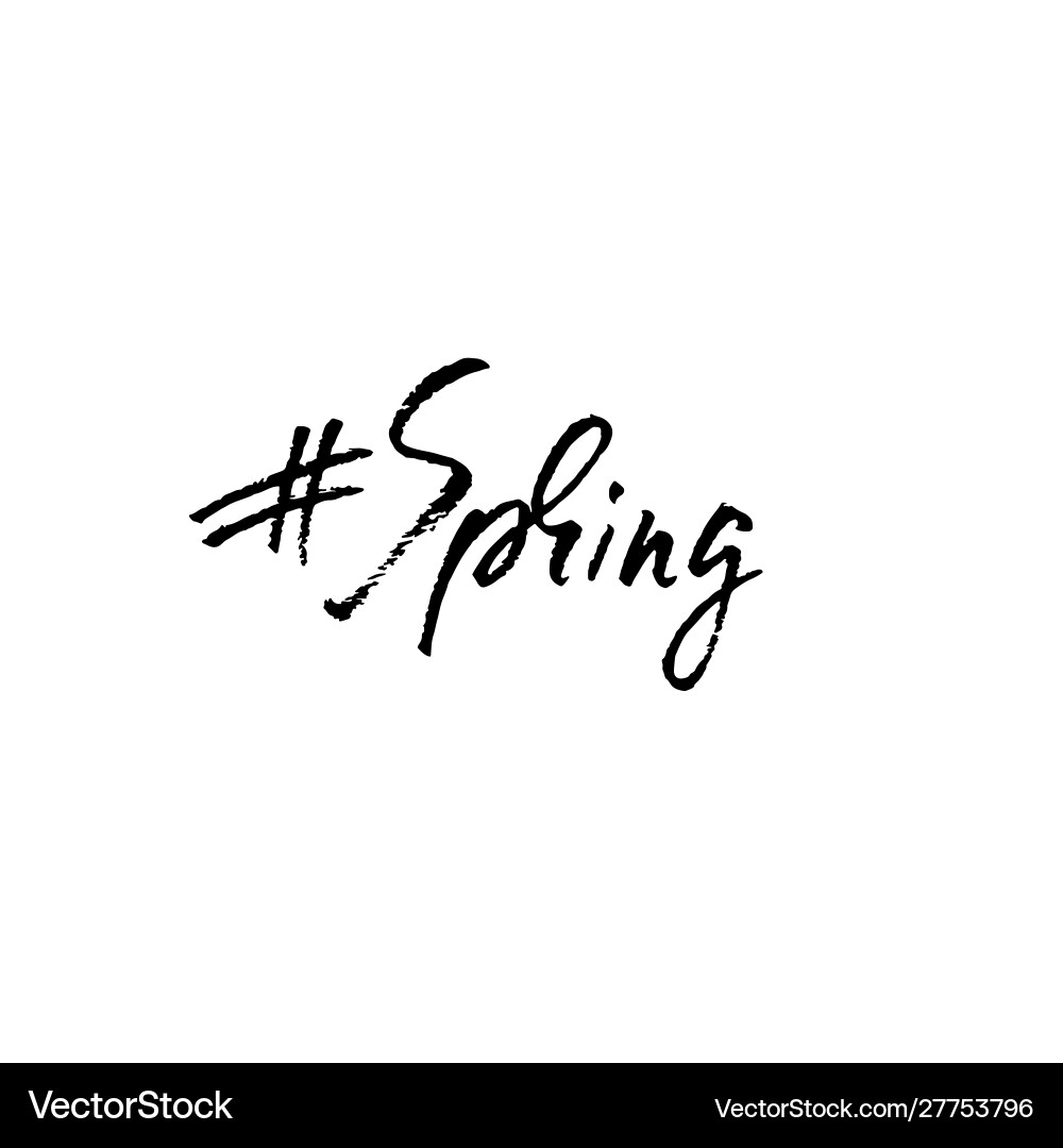 Spring lettering modern dry brush inscription Vector Image