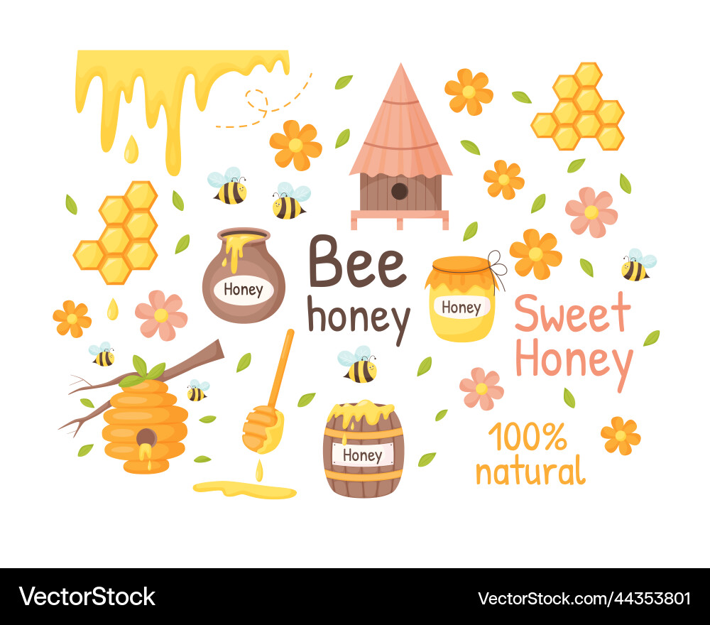 Set of bee honey thematic elements collection Vector Image