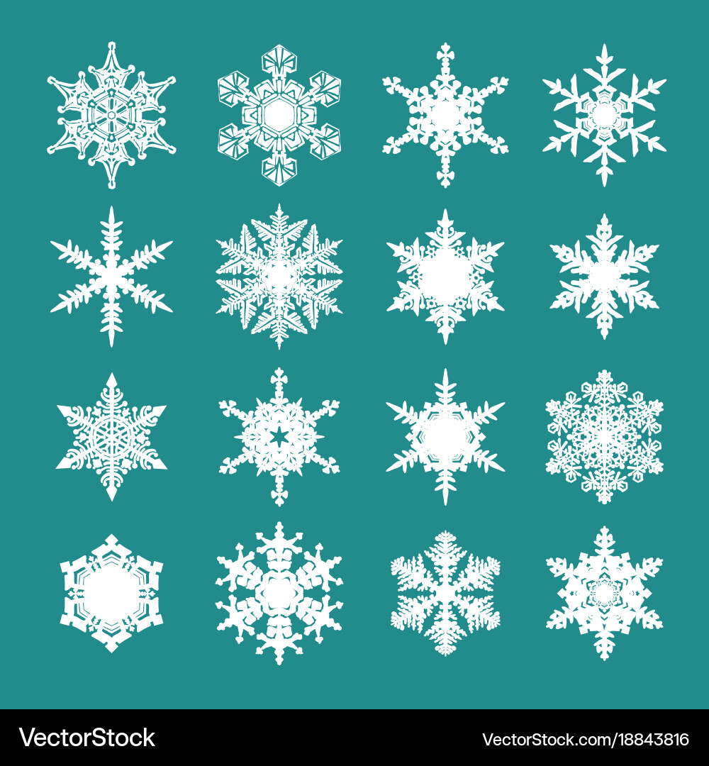 Set of white snowflakes Royalty Free Vector Image