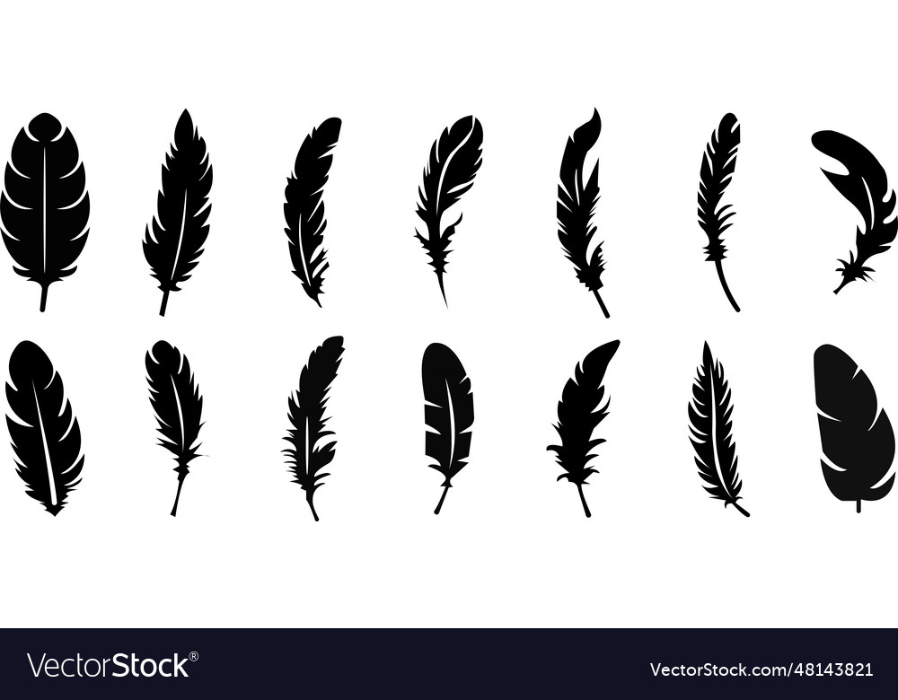 Feather icons set of black isolated on white Vector Image