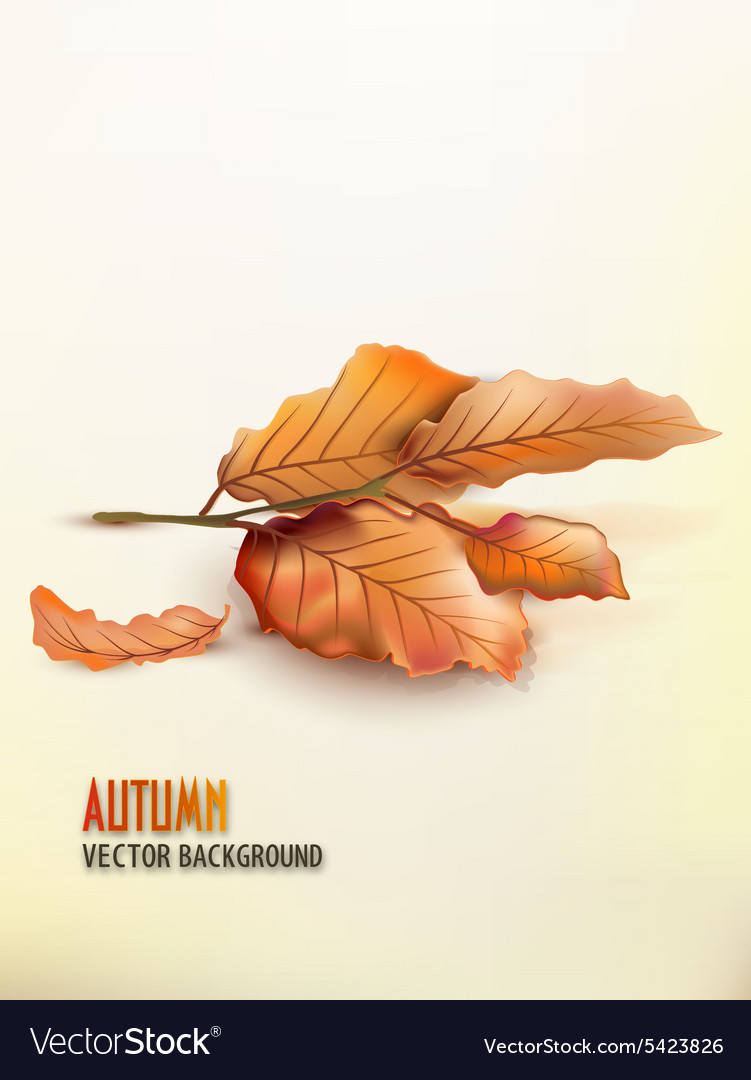 Autumn background with lots leaves Royalty Free Vector Image