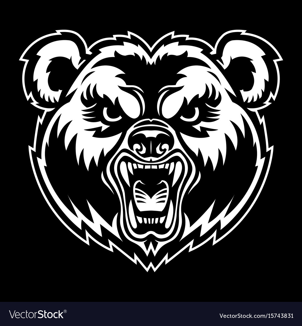 Bear face Royalty Free Vector Image - VectorStock