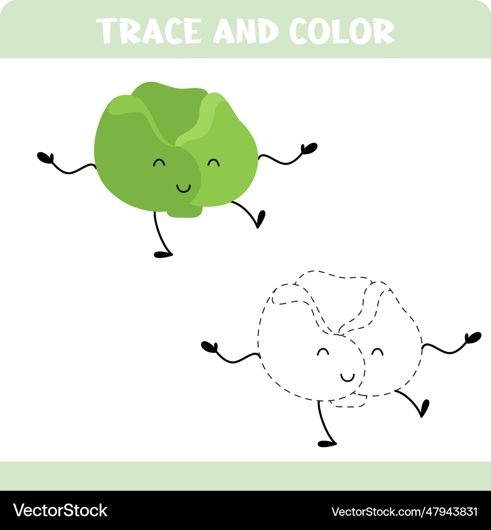 Cabbage trace the line game for kids educational Vector Image