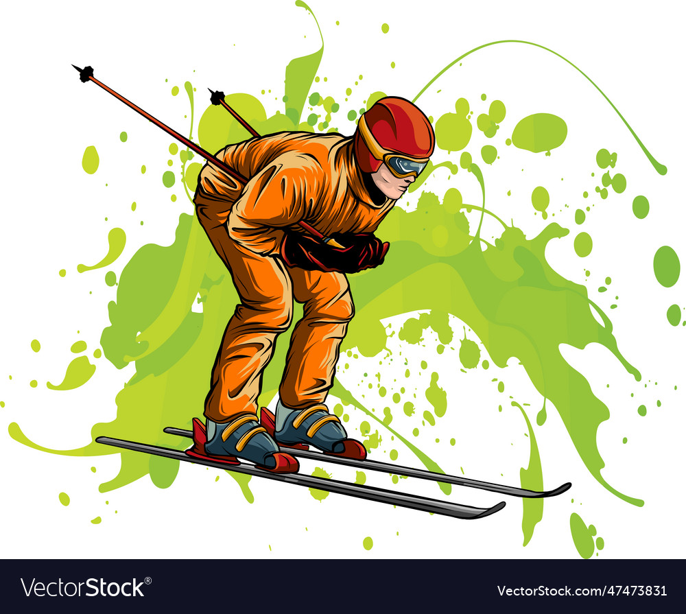 Colored skier art design Royalty Free Vector Image