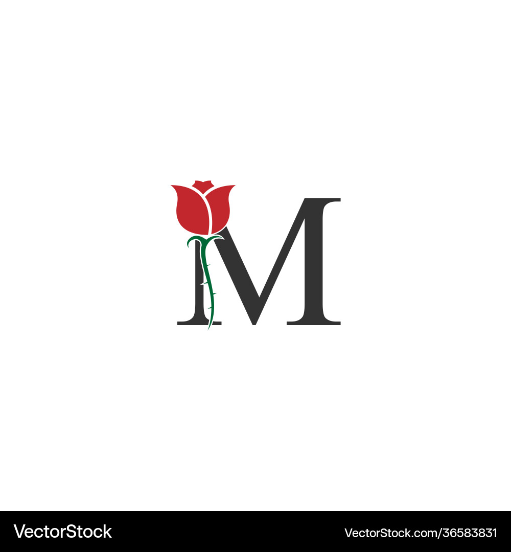 Letter m logo icon with rose design Royalty Free Vector