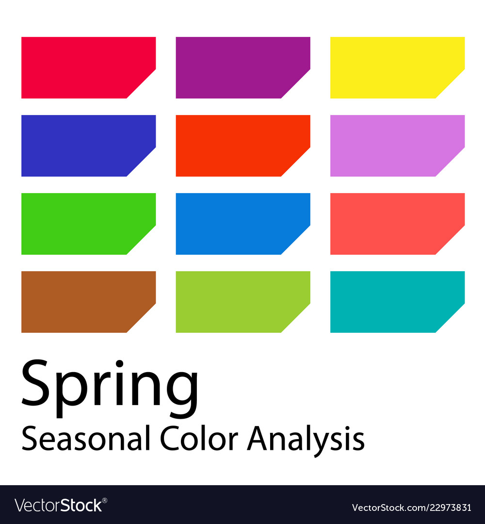 Seasonal color analysis palette for spring type Vector Image