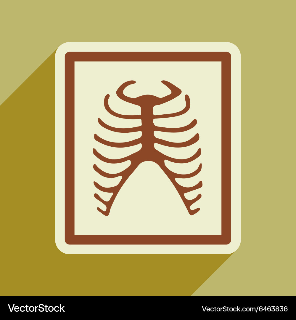 Icon of x-rays ribs in flat style Royalty Free Vector Image