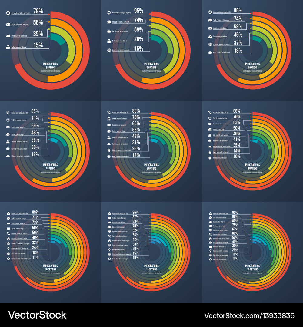 Set of presentation informative infographic circle