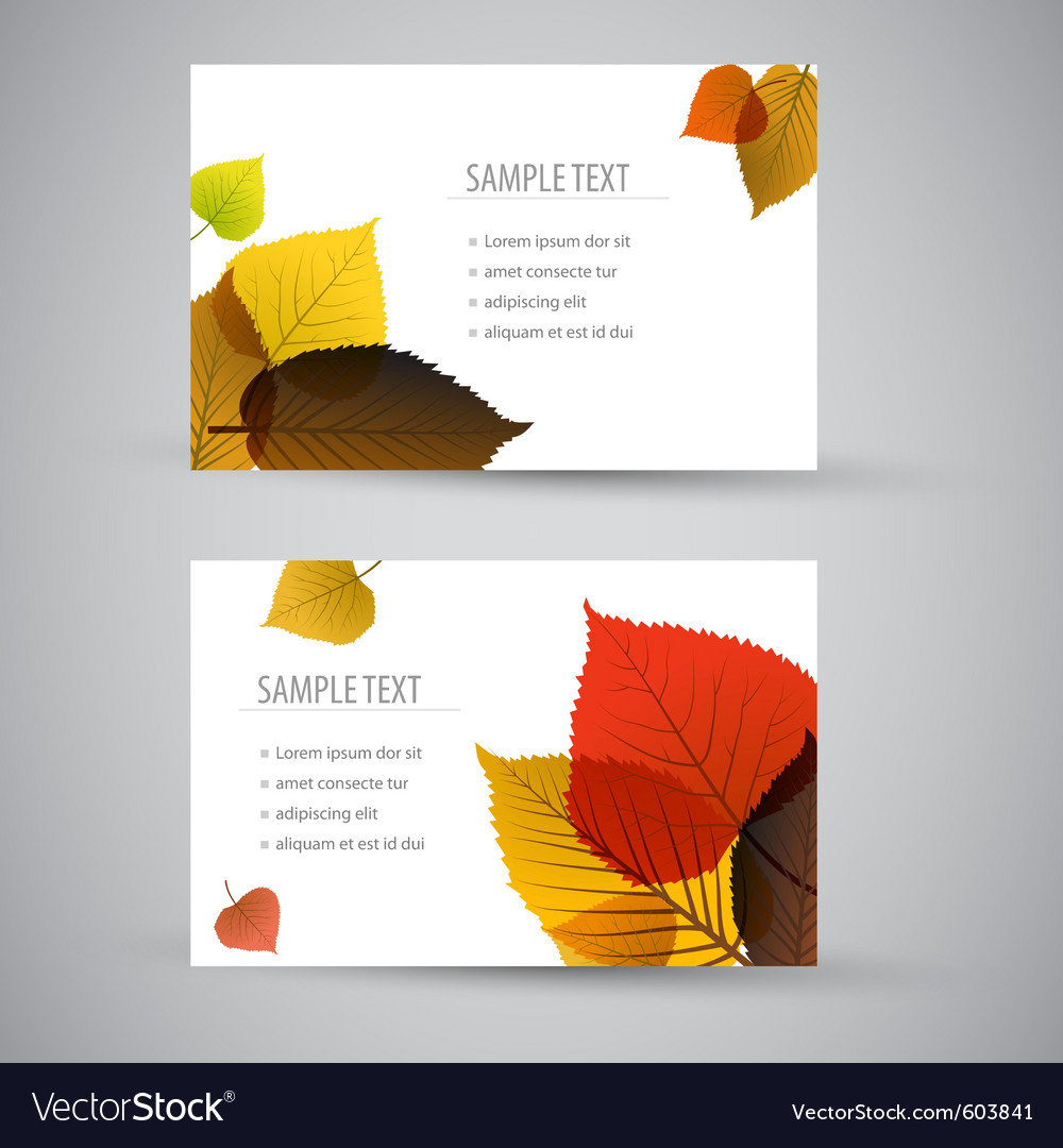 Cards with leafs Royalty Free Vector Image - VectorStock