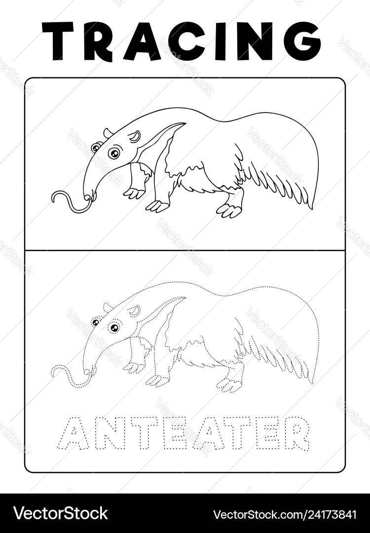 Funny anteater animal tracing book with example Vector Image