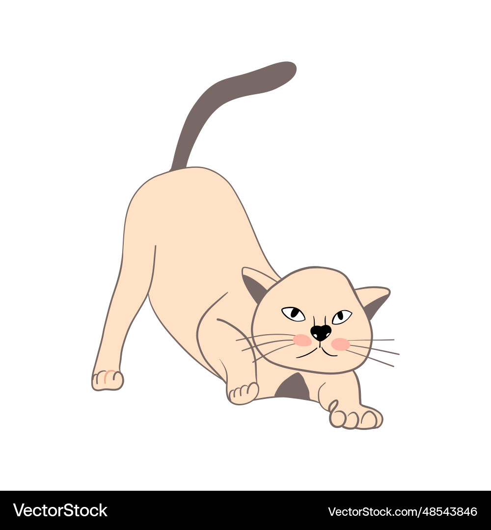Domestic cat is hunting Royalty Free Vector Image