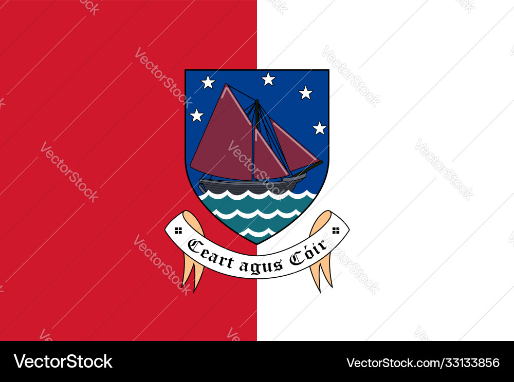 Flag county galway in ireland Royalty Free Vector Image