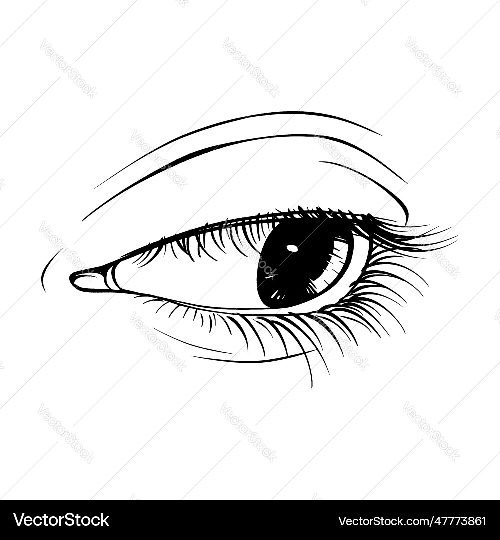 Beautiful hand drawn sketch eye line art Vector Image