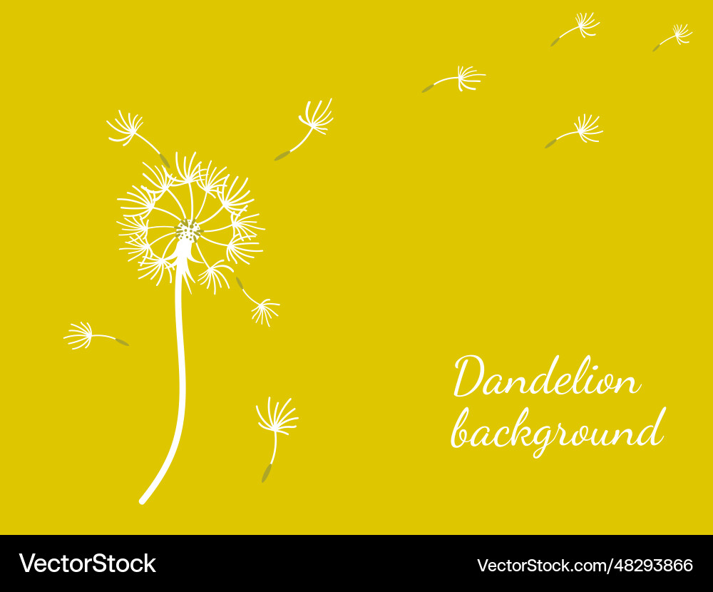 Abstract background dandelion design Royalty Free Vector