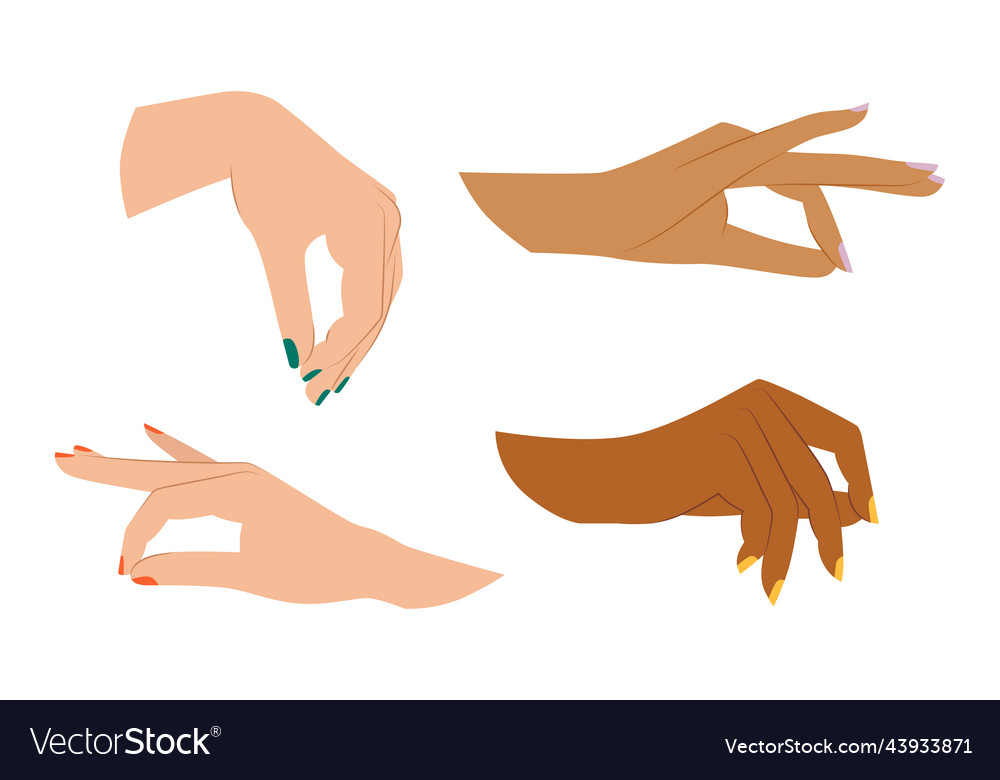 Graceful hands set flat isolated Royalty Free Vector Image